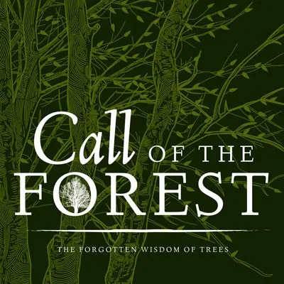 Movie Review: Call of the Forest - The Forgotten Wisdom of Trees ...