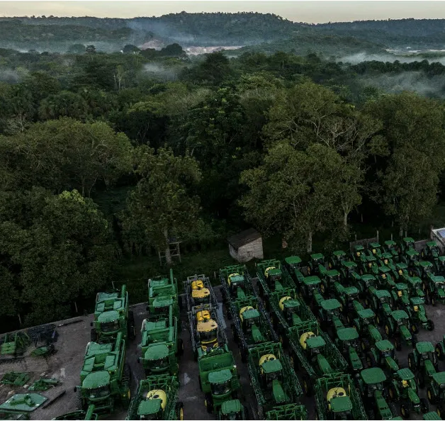 Nature: Trouble in the Amazon The rainforest is starting to release its ...