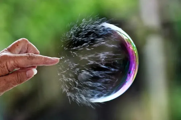 I Just Don’t Want to Know - The Death of Curiosity - Canadian ...