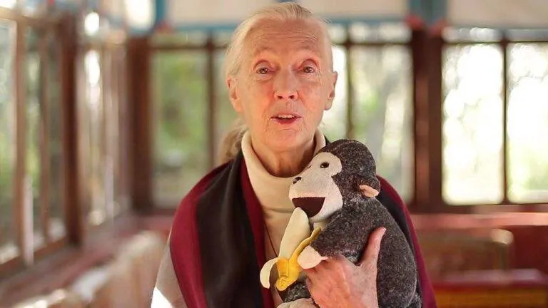 Saint Jane - Canadian Association for the Club of Rome