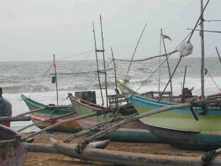 Climate Change a Human Rights Crisis - Canadian Association for the ...