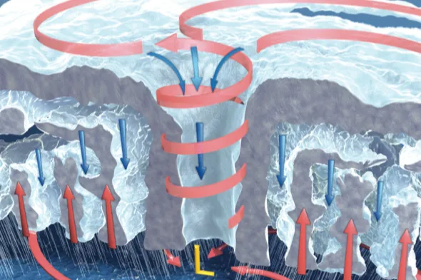 Hurricane anatomy - Canadian Association for the Club of Rome